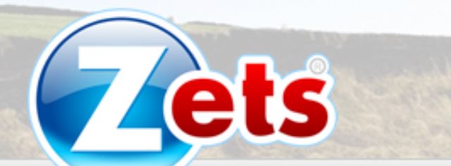 Zets Franquias Virtuais – Como funciona?